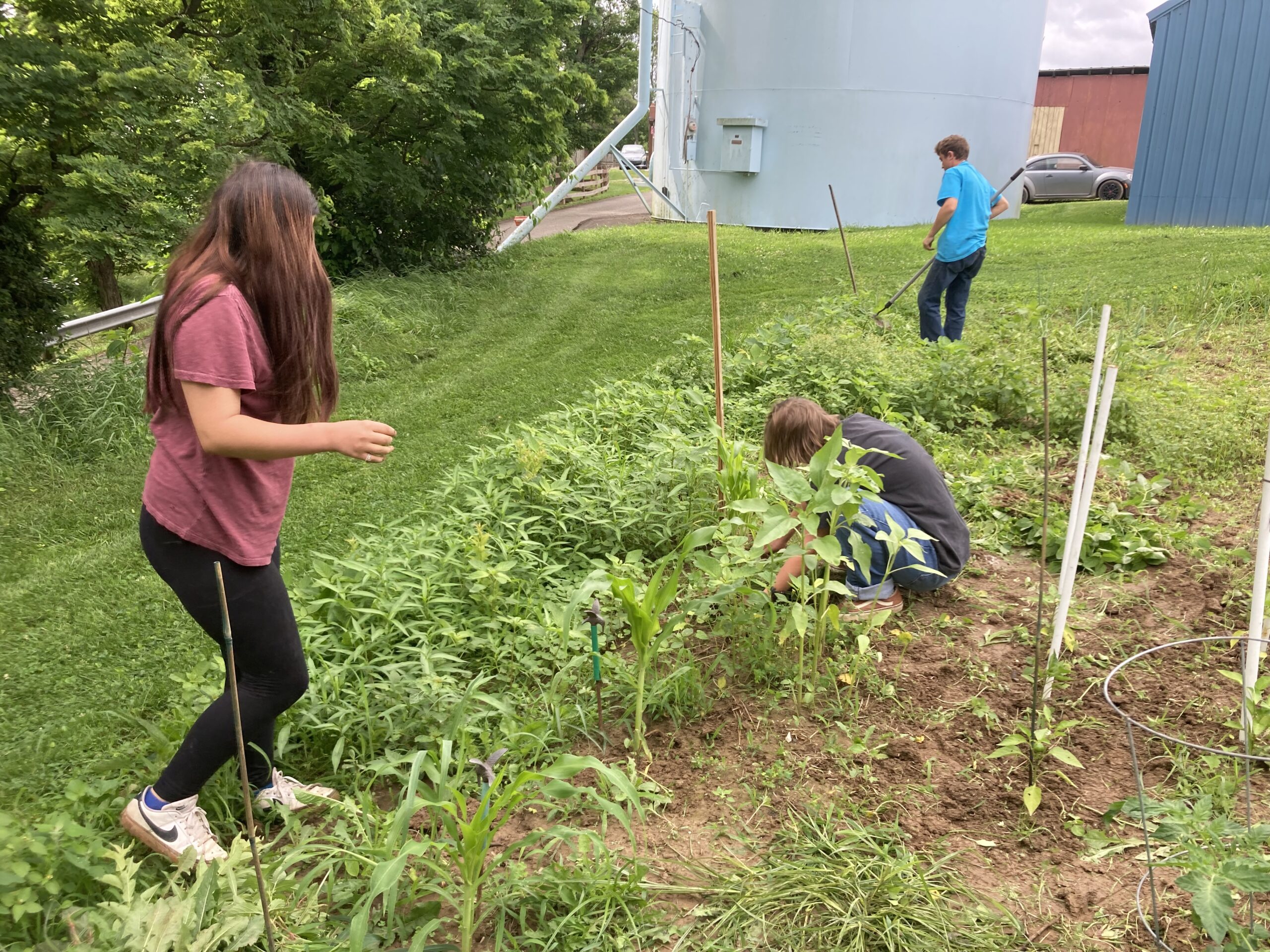 Summer Agricultural Internship for teens - Good Works, Inc.